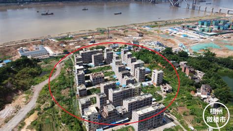 梧州南岸高旺片区规划大山谷图库