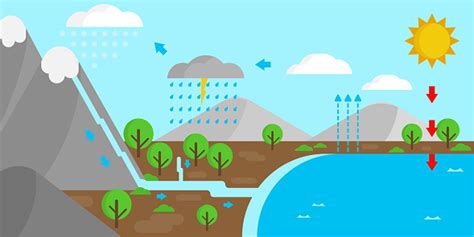 Modèle Illustratif Du Cycle De Leau Dans La Nature Illustration