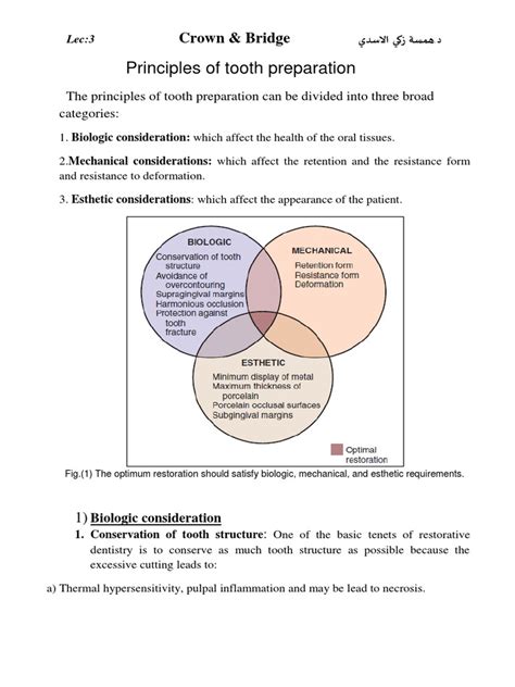The Principles Of Tooth Preparation May Be Divided Into Three Broad