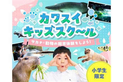 観光かながわnowで体験を探す ｜【公式】神奈川県のお出かけ・観光・旅行サイト「観光かながわnow」