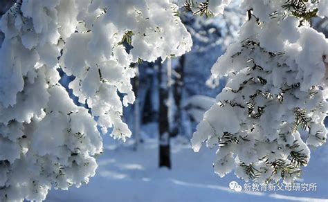 新父母晨诵教育上的种种对立