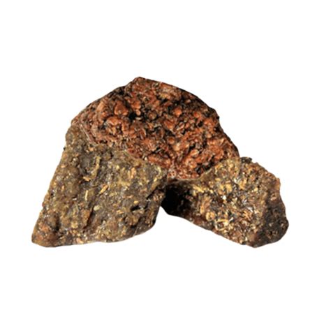 Gond Chohara Gum Of Dates Tree