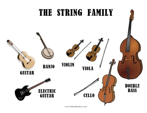 What Are The 4 Types Of Musical Instruments At Suzanne Mason Blog