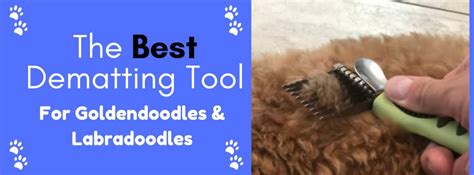 The Best Dematting Tool For Goldendoodles And Labradoodles Large