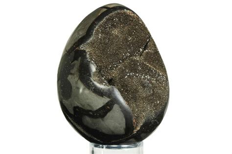 47 Septarian Dragon Egg Geode Madagascar 230372 For Sale