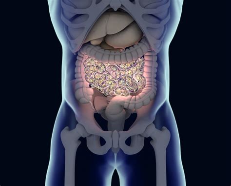 Gut Microbiome Linked To Poor Sleep Via Metabolite Production