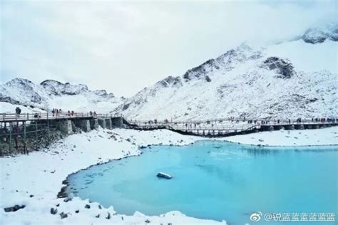 李世民栽了棵银杏树整整美了1400年
