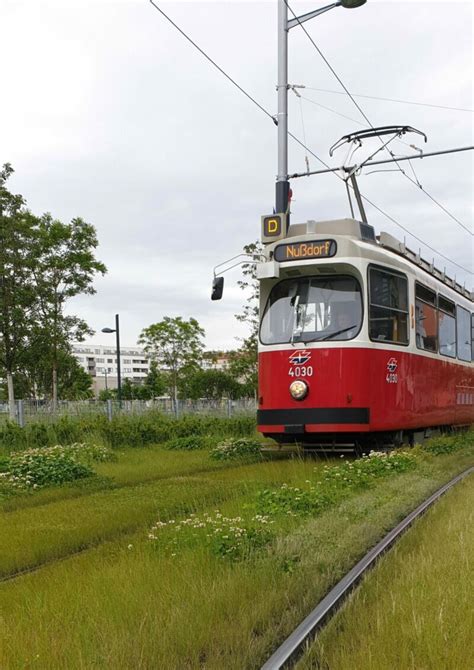 Projekte Edilonsedra