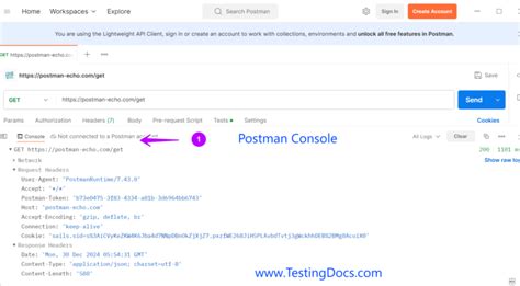 Postman Console Testingdocs