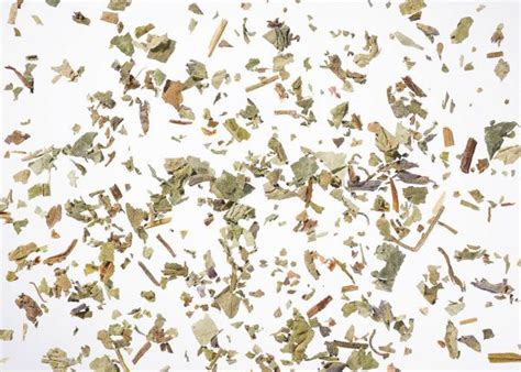 Bio Zeliščni čaj PljuČnik 40 G Hiška Zelišč