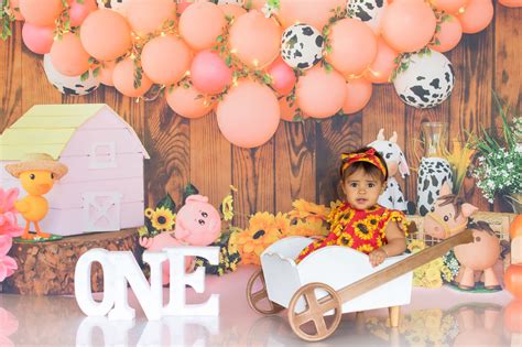 Ensaio Infantil Temático Fazendinha Rosa Belo Horizonte Mg