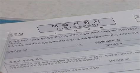 빚 못 갚는 사장님 급증자영업 연체율 역대급