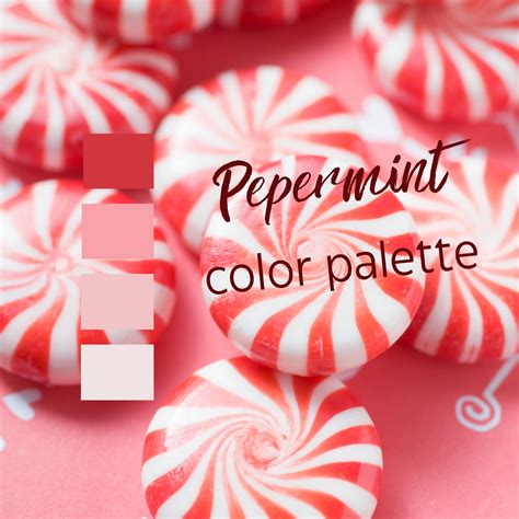 Peppermint Color Palette Keeping It Real