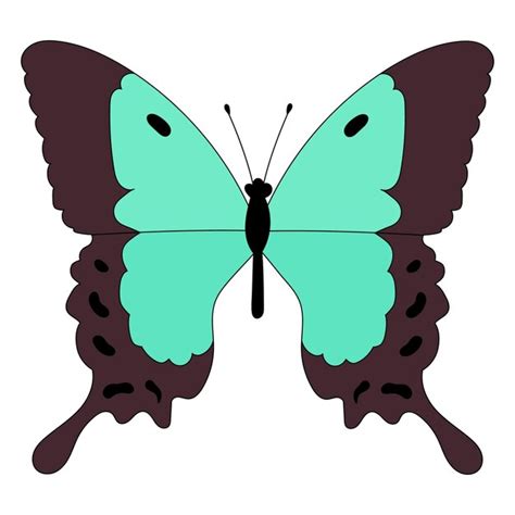 흰색 배경에 격리된 벡터 나비 프리미엄 벡터