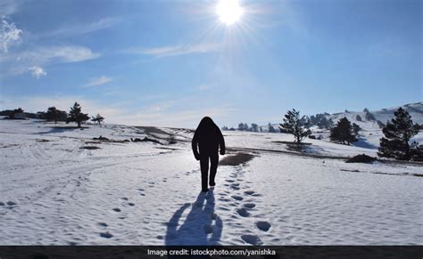 Yeti Images Myths And Legends About The Elusive Snowman