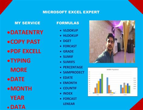 Provide Tons Of Excel Templates And Tools In One Gigs By Ibrahim Ibr
