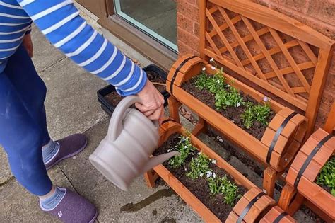 Uddingston Care Home Participates In Hc Ones Annual Gardens In Bloom