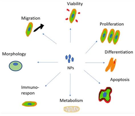 Chitosan Based Nano Smart Drug Delivery System In Breast Cancer Therapy