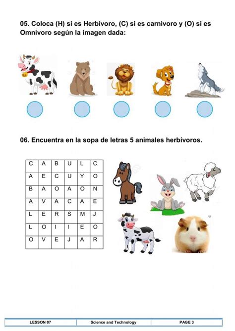 Animales Según Su Alimentación Activity Animals Activities