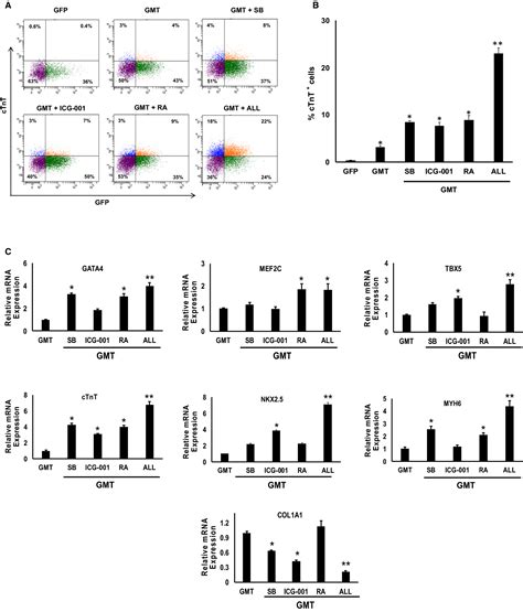Enhanced Generation Of Induced Cardiomyocytes Using A Small‐molecule
