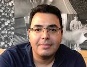 Deep Plug And Play Prior For Parallel Mri Reconstruction