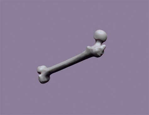 3d Human Femur For 3d Printing Turbosquid 1947068