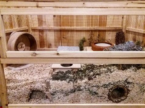 Natural Hamster Cage Ideas Including 13 Examples To Inspire You Hamsters 101 Hamster