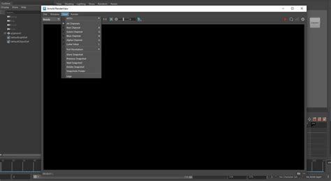 arnold render view is black r maya