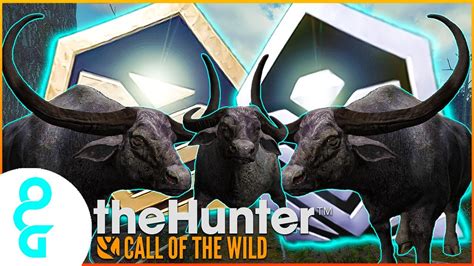 Giant Diamond Water Buffalo And A Uninvited Guest Thehunter Call Of The Wild Youtube