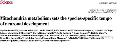 Science｜线粒体代谢与物种特异性神经元发育 知乎