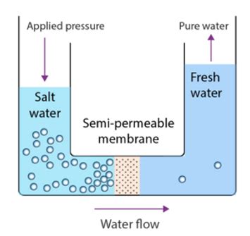 Aqua Veritas Reverse Osmosis