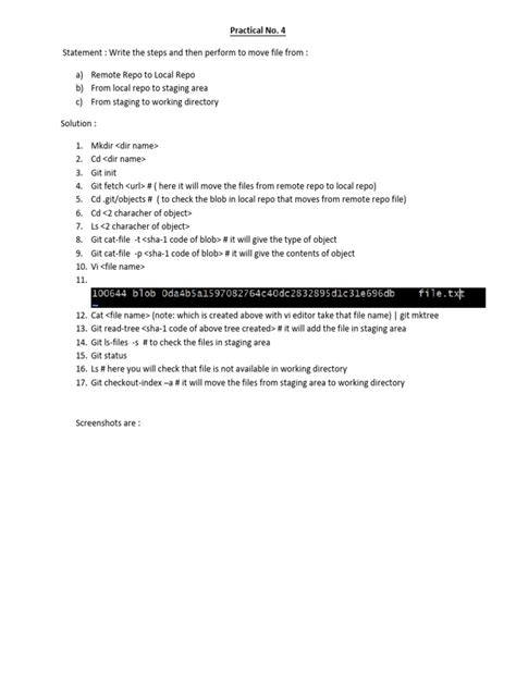 Blob Assignment Pdf