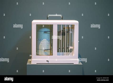 Seismological Device For Measuring Earthquakes Seismograph Records An Earthquake On The Sheet