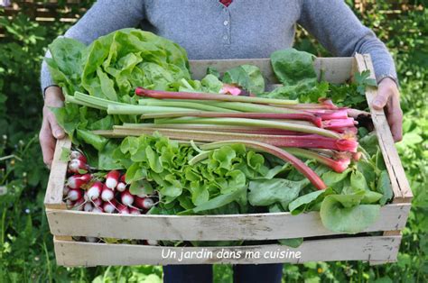Salade De Radis Fleurs De Ciboulette Un Jardin Dans Ma Cuisine