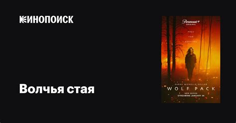 Волчья стая (сериал, 1 сезон, все серии), 2023 — описание, интересные ...