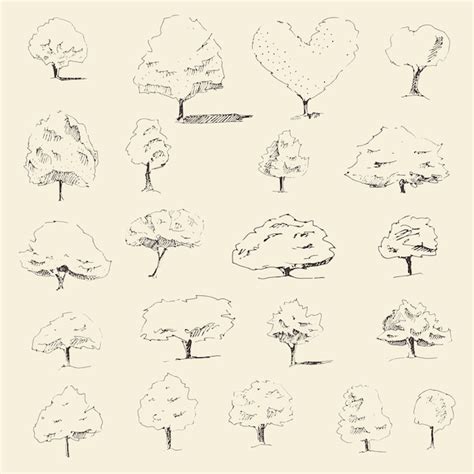 Premium Vector Trees Sketch Set Vintage Illustration Engraved Retro