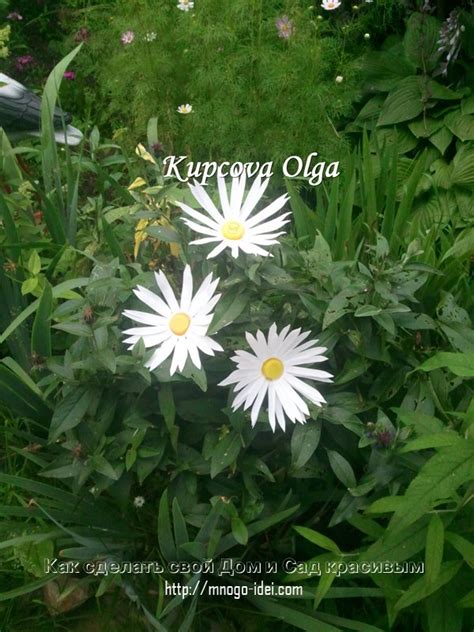 Ромашка из пластиковой бутылки пошаговая инструкция и мастер класс с фото и видео