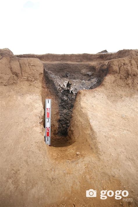 2017 он Археологийн салбарын ОНЦЛОХ судалгаанууд