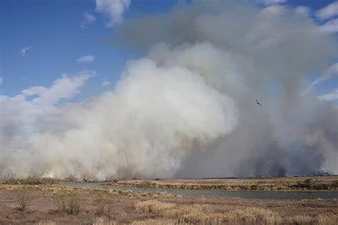 Advierten Que El Humo Por Los Incendios Del Delta Que Afecta A La Ciudad De Buenos Aires Y