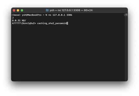 Mysql 설정