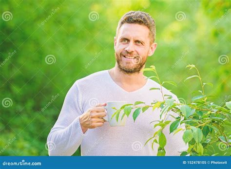 Green Tea Contains Bioactive Compounds That Improve Health Natural