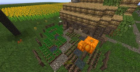 Medieval Farmhouse Minecraft Map