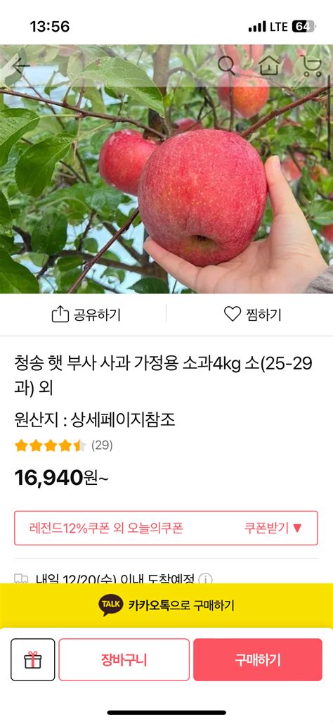 [ns몰] 청송 햇 부사 사과 가정용 소과4kg 소 25 29과 외 14 900원 무료 핫딜 에펨코리아