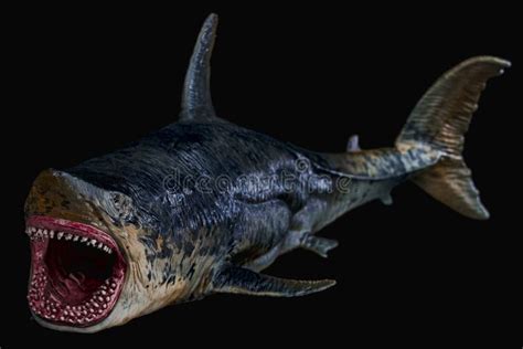 Megalodon Mofun Toy Company 2018 Editorial Stock Image Image Of