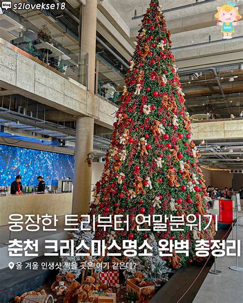 강원도핫플레이스 강원도맛집 강원도카페 강원도여행 지름신 바로 강림하는 강릉 쇼핑리스트 18곳👝 취저각인 다양한 소품템들만 한가 득 있는 곳만 모아옴 텅장주의