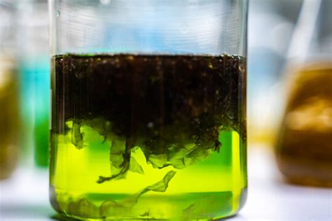 รูปภาพphotobioreactor เลือกดูภาพถ่ายสต็อก เวกเตอร์ และวิดีโอ425