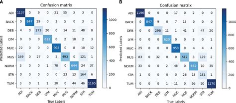 Frontiers An Improved Multi Scale Gradient Generative Adversarial Network For Enhancing