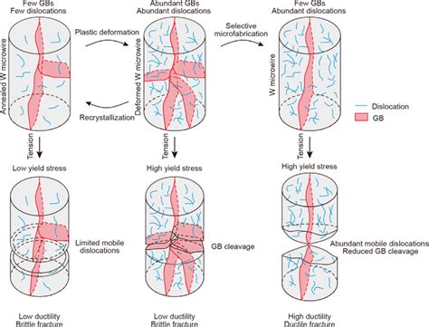 Schematic Diagram Showing The Microstructures And Deformation Download Scientific Diagram