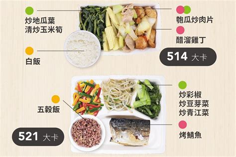 掌握營養 跟著「我的餐盤」均衡吃 康健雜誌