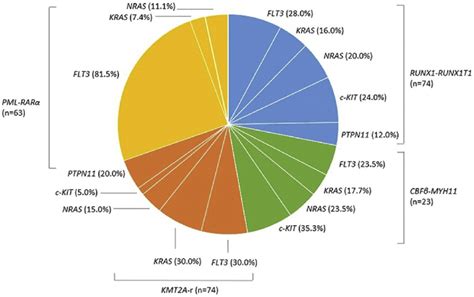 Pie Chart Illustrating The Frequency Of Type Ii Mutations Among
